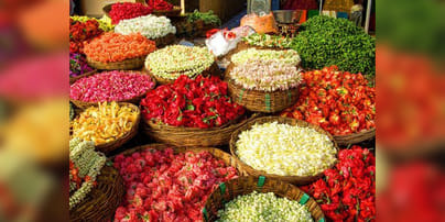 FlowerAura: Send Flowers, Cakes, Gifts, Hampers, Plants Online in India