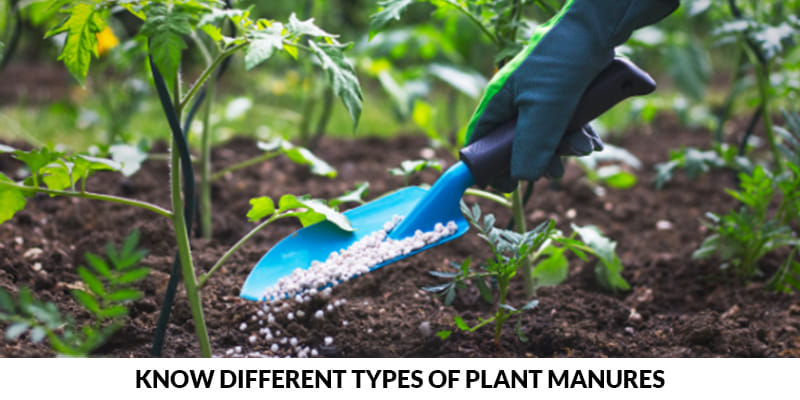 Know Different Types of Plant Manures