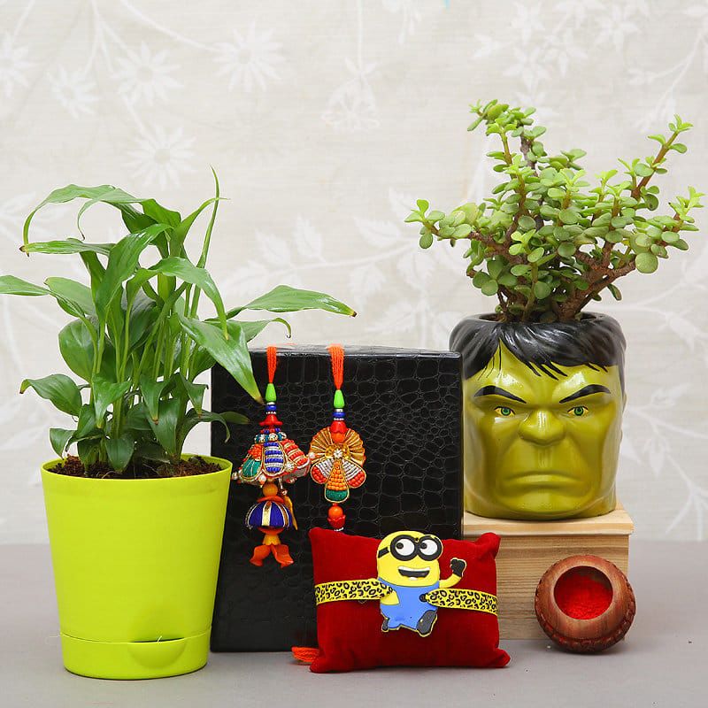 Online Kids Rakhi Collection | Rakhi Gifts For Kids Brother and Sister ...