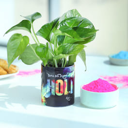 Holi Plant Gifts Online | Plants for Holi Festival | FlowerAura