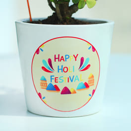 Holi Plant Gifts Online | Plants for Holi Festival | [site:name]