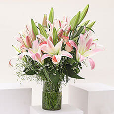 Online Flower Delivery | Send Flowers To India