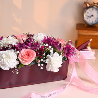 Daisy Flowers Online | Buy Fresh Daisies | FlowerAura | FlowerAura