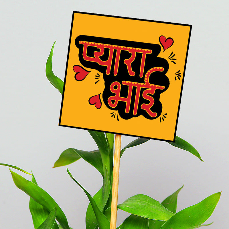 Same Day Rakhi Delivery in India Online | Rakhi Express Delivery ...