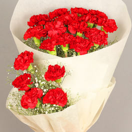 Carnation Bouquet | Carnation Flower Arrangement Online Starts ₹499 ...