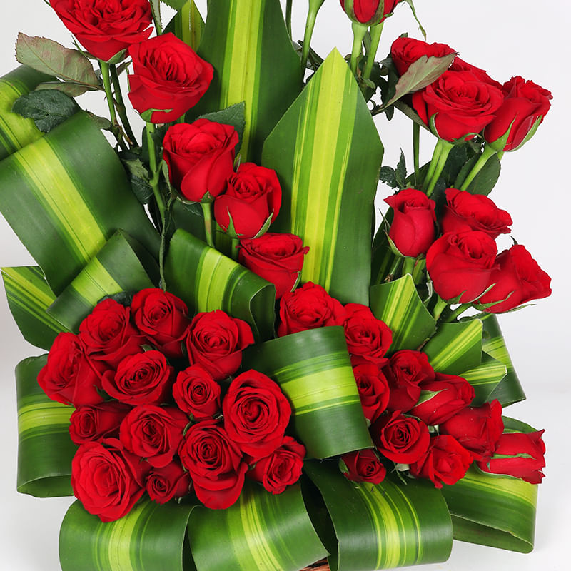 Red Flowers | Red Roses Bouquet | Red Color Carnations | FlowerAura